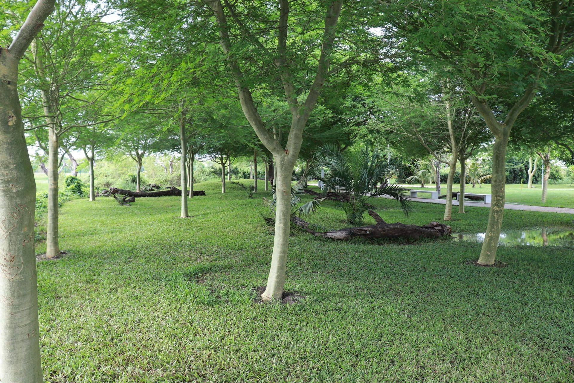 CHIVEVE - Parque de Infra-estruturas Verdes da Beira